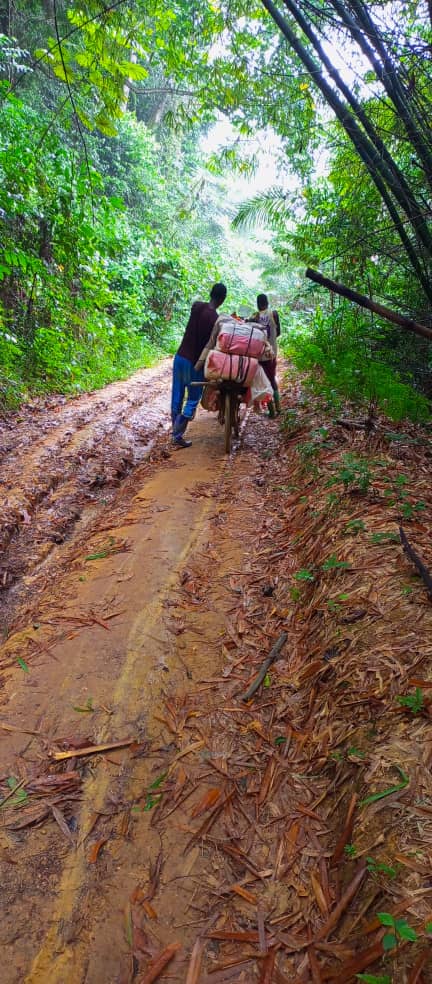 Guerre dans l'Est de la Rdc: Le territoire de Shabunda plongé dans l ...